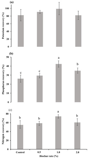 Wheat Straw Biochar Produced at a Low Temperature Enhanced Maize Growth ...
