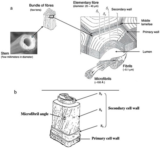 Experimental Study on Mechanical Properties of Hemp Fibers Influenced ...