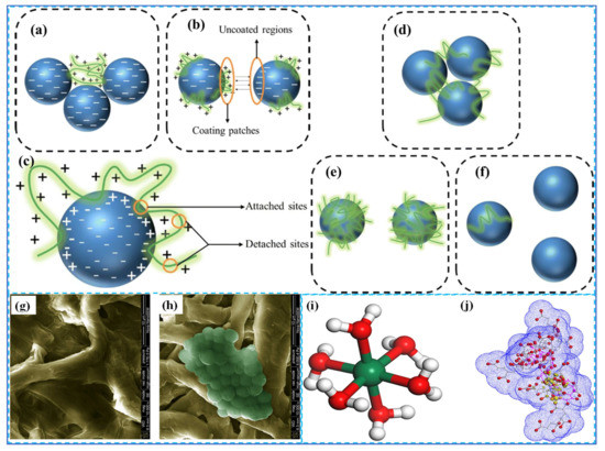 Bio-Based Polymeric Flocculants and Adsorbents for Wastewater Treatment