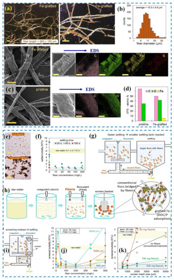 Bio-Based Polymeric Flocculants and Adsorbents for Wastewater Treatment
