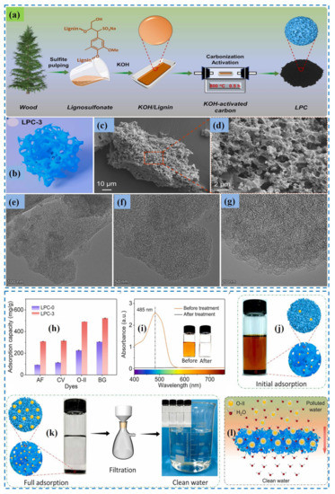 Bio-Based Polymeric Flocculants and Adsorbents for Wastewater Treatment