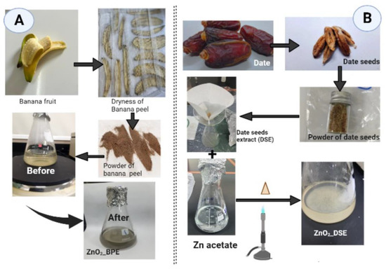 Sustainability | Free Full-Text | Sustainable Eco-Friendly Synthesis of Zinc Oxide Nanoparticles ...