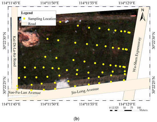 Spatial Distribution of Soil Heavy Metal Concentrations in Road ...