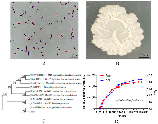 An Experimental Study to Improve the Nutrients and the Mechanical ...