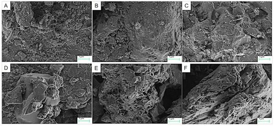 An Experimental Study to Improve the Nutrients and the Mechanical ...