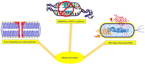 Bio-Preservation of Meat and Fermented Meat Products by Lactic Acid ...
