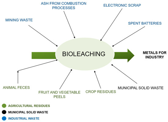 Sustainability | Free Full-Text | Bioleaching Techniques for ...
