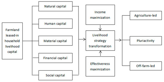 Sustainability | Free Full-Text | Analysis of the Impact of Livelihood ...