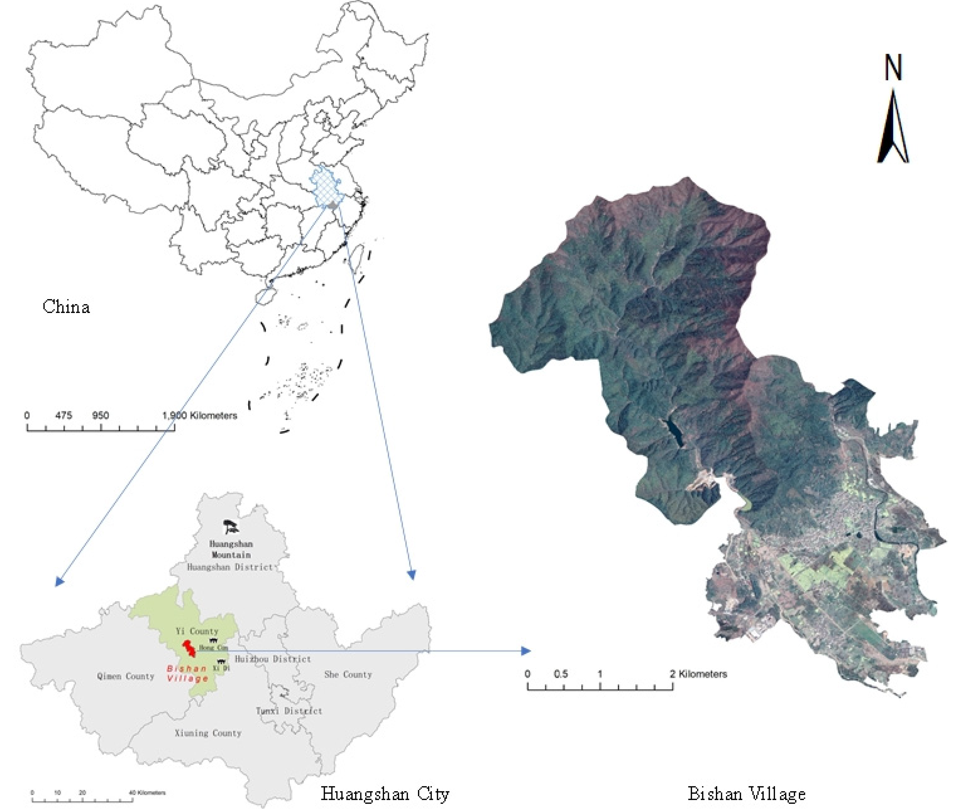 Influence of the Kinship Networks on Farmers’ Willingness to Revitalize ...