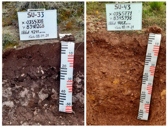 Spatial Distribution of Soil Organic Carbon in Relation to Land Use ...