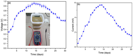 Preliminary Study of Bioelectricity Generation Using Lettuce Waste as ...