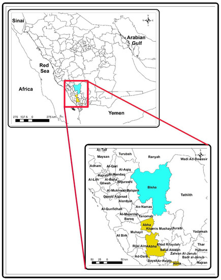 Sustainability | Free Full-Text | Assessing Public Service Distribution ...