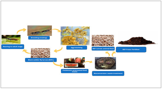 From Waste to Plate: Exploring the Impact of Food Waste Valorisation on ...