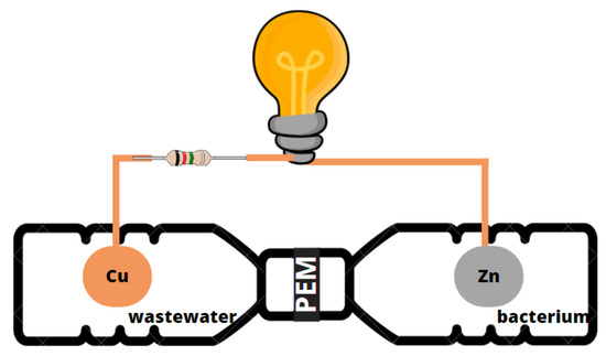 Use of Wastewater and Electrogenic Bacteria to Generate Eco-Friendly ...