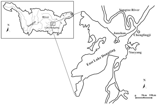 Influence of Seasonal Water Level Fluctuations on Food Web Structure of a Large Floodplain Lake ...