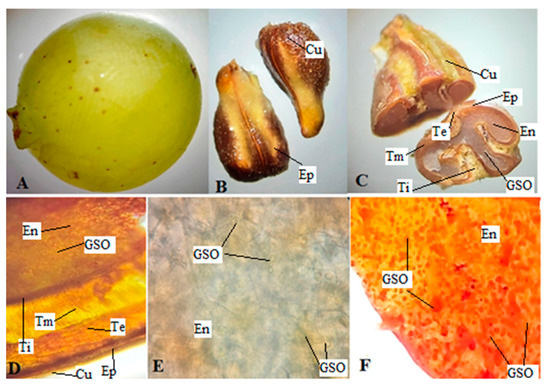 Organically Cultivated Vine Varieties—Distinctive Qualities of the Oils ...