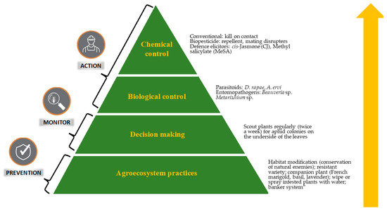 Peach–Potato Aphid Myzus persicae: Current Management Strategies ...