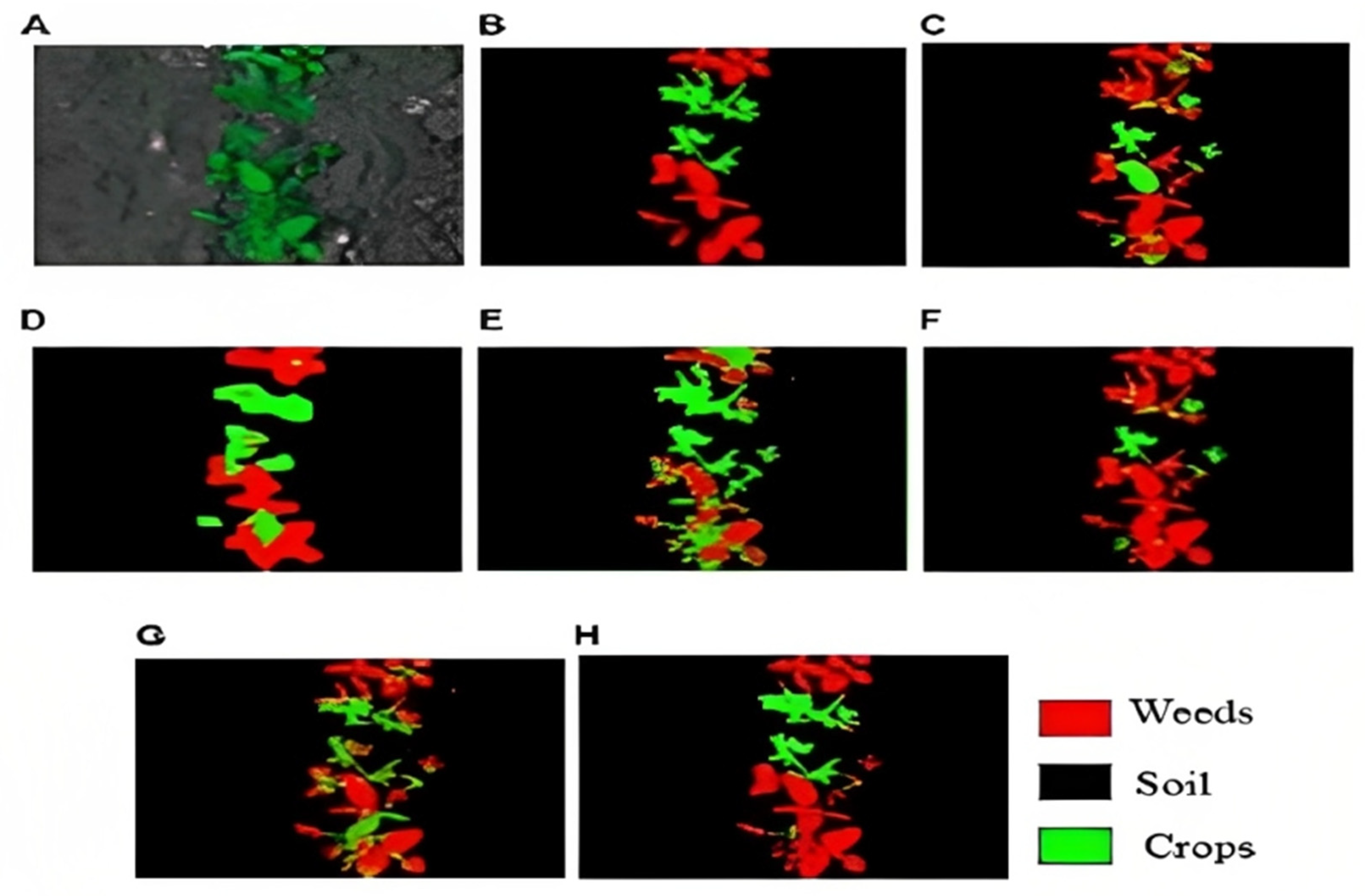 Sustainability | Free Full-Text | Smart Agricultural–Industrial Crop ...