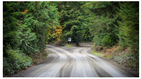 A Taxonomy for Autonomous Vehicles Considering Ambient Road Infrastructure