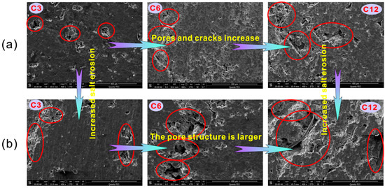 Study on Shear Behavior and Mechanism Based on Shear Functional Unit of ...