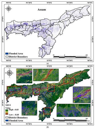 Large-Scale Flood Hazard Monitoring and Impact Assessment on Landscape ...