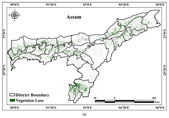 Large-Scale Flood Hazard Monitoring and Impact Assessment on Landscape ...