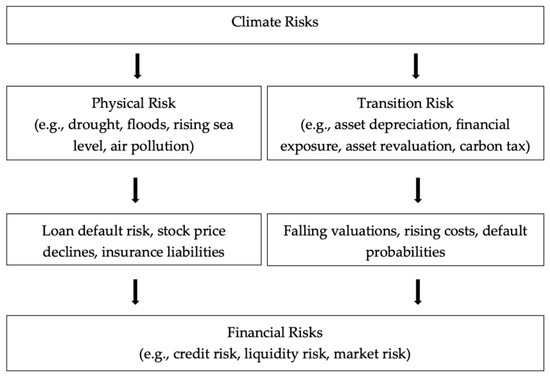The Impact of Climate Change on Financial Stability