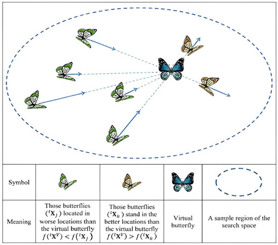 Sustainability | Free Full-Text | Butterfly Algorithm for Sustainable Lot Size Optimization