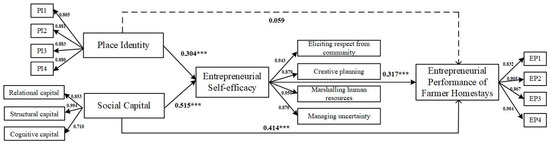 Place Identity, Social Capital, and Rural Homestay Entrepreneurship ...