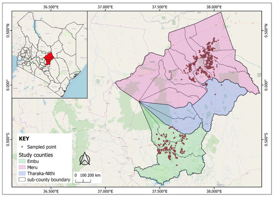 Gender Mainstreaming in Miraa Farming in the Eastern Highlands of Kenya