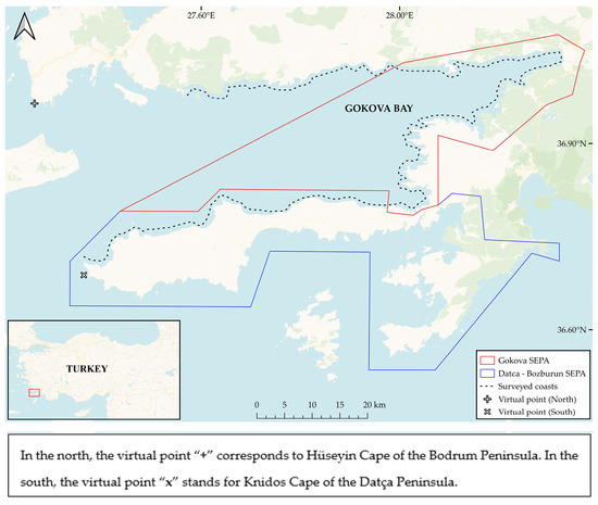 Revealing the Mediterranean Monk Seal (Monachus monachus)’s Cave ...
