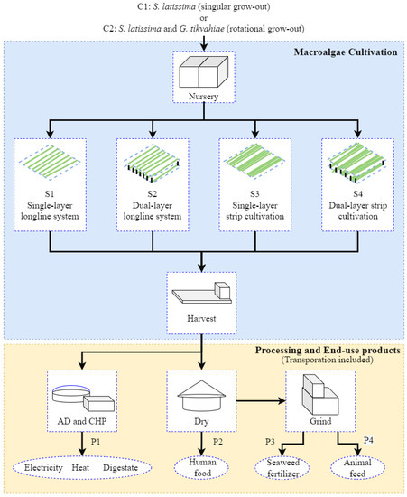 Sustainability | Free Full-Text | A Comparison of Multiple Macroalgae ...