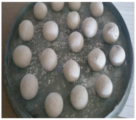 Assessing the Efficiency of Green Absorbent in Treating Nutrients and ...