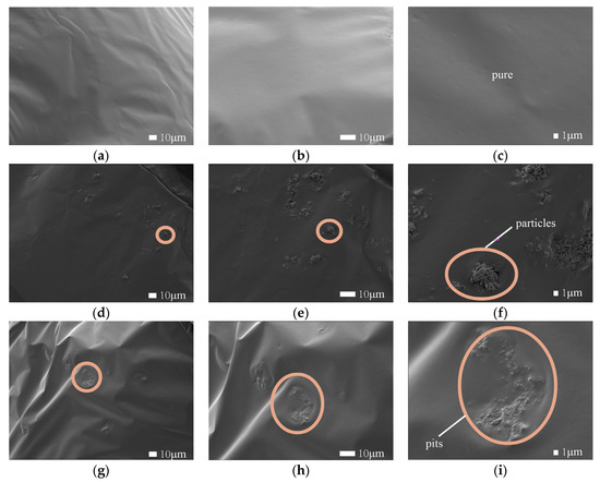 Properties and Microcosmic Mechanism of Coral Powder Modified Asphalt ...
