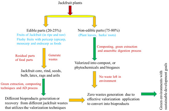 The Utilization of Jackfruit (Artocarpus heterophyllus L.) Waste ...