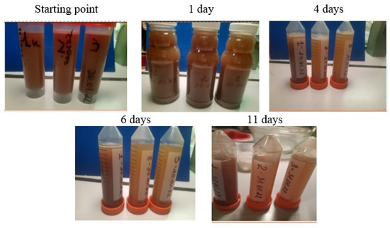 Use of Alcaligenes faecalis to Reduce Coliforms and Enhance the ...