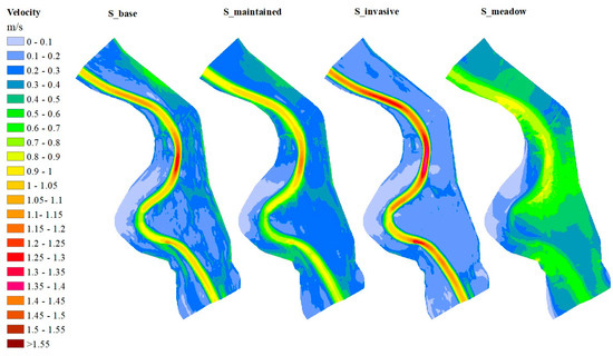 Increased Riparian Vegetation Density and Its Effect on Flow Conditions