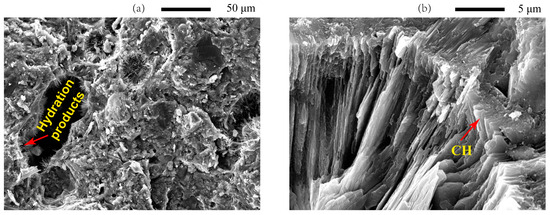 Calcium Leaching of 3D-Printed Cement Paste Exposed to Ammonium ...