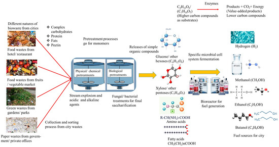 Municipal-Based Biowaste Conversion for Developing and Promoting ...