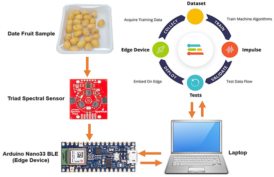 Sustainability | Free Full-Text | Machine-Learning-Based Spectroscopic ...