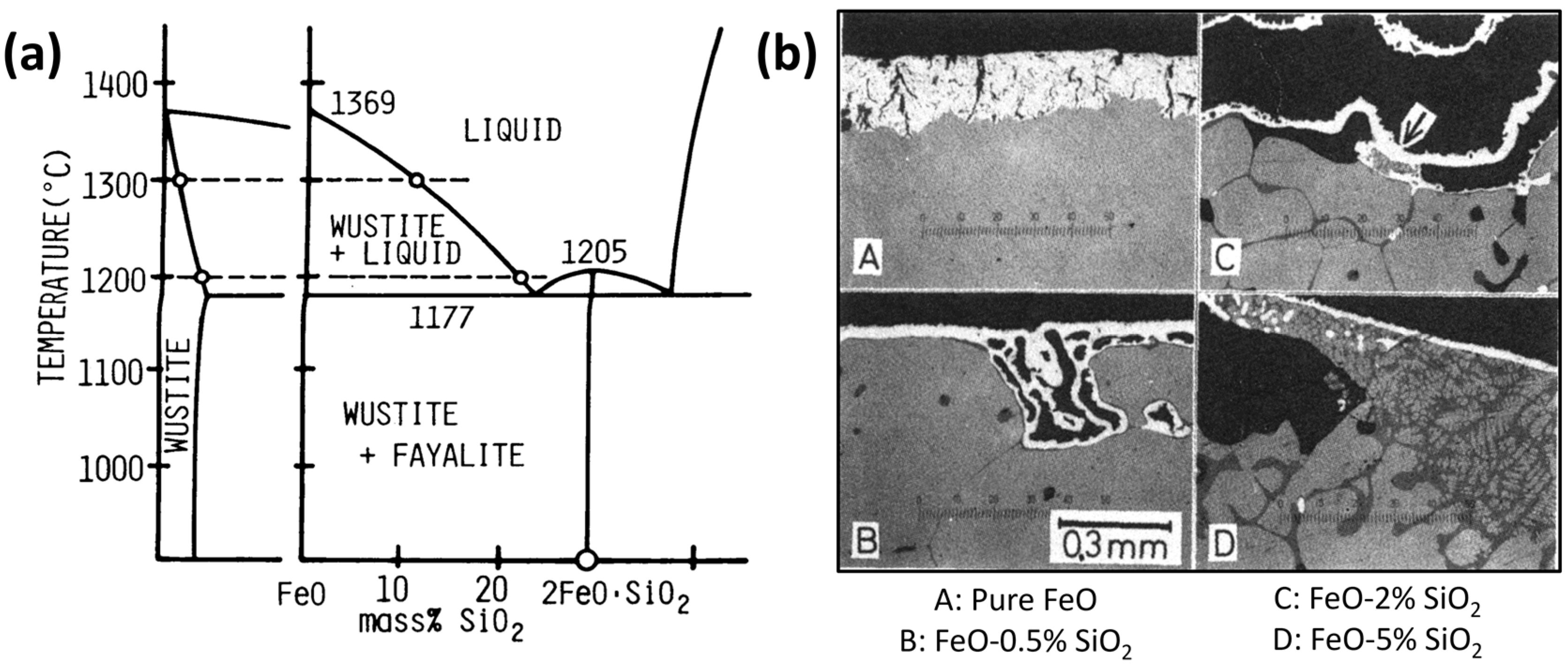 Hydrogen-Based Direct Reduction of Iron Oxides: A Review on the Influence of Impurities