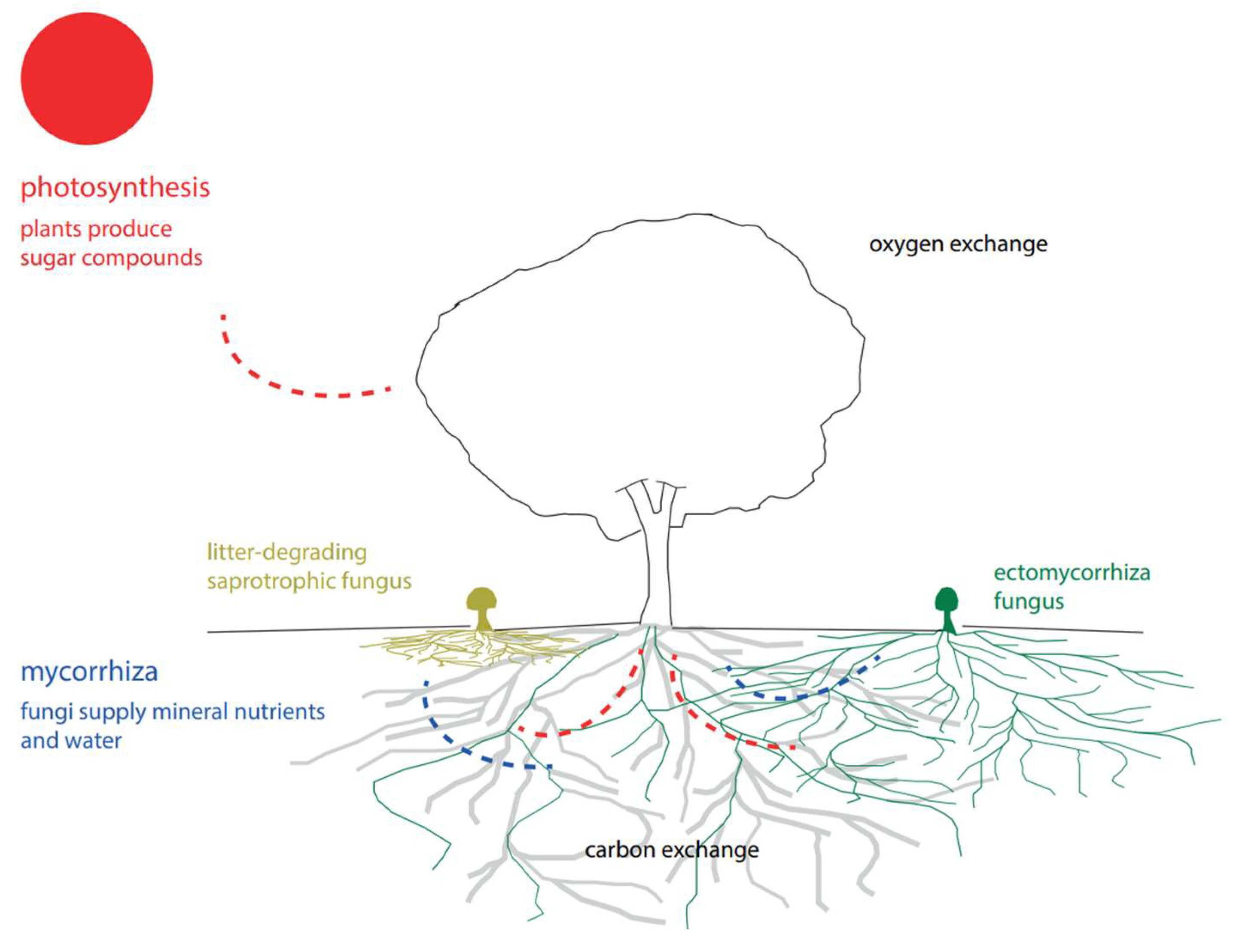 Mycelium-Based Thermal Insulation for Domestic Cooling Footprint ...