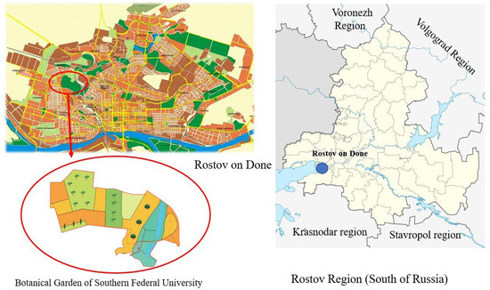 Ecological State of Haplic Chernozem after Pollution by Oil at ...