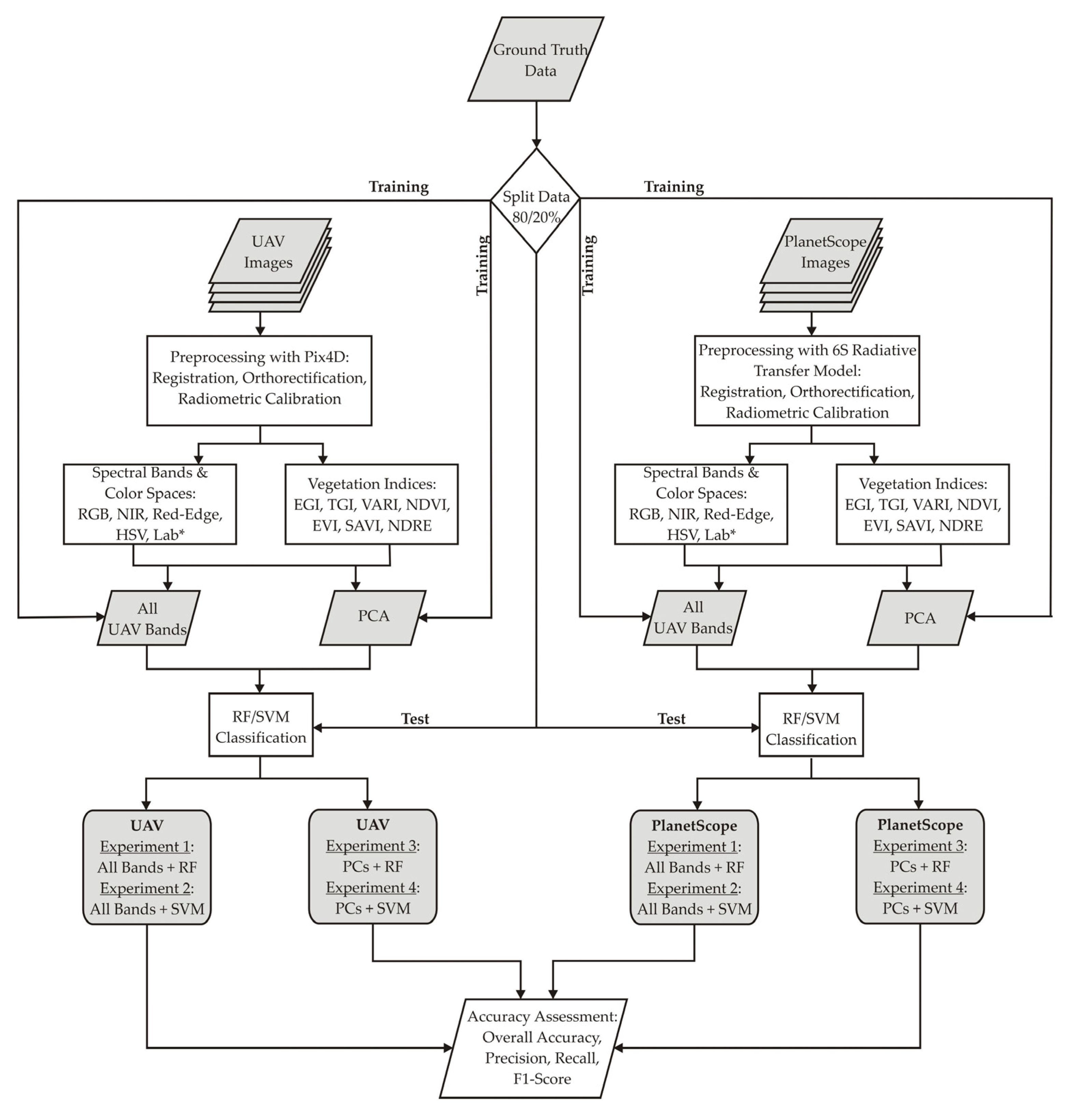 Sustainability | Free Full-Text | Weed Detection in Rainfed Maize Crops ...