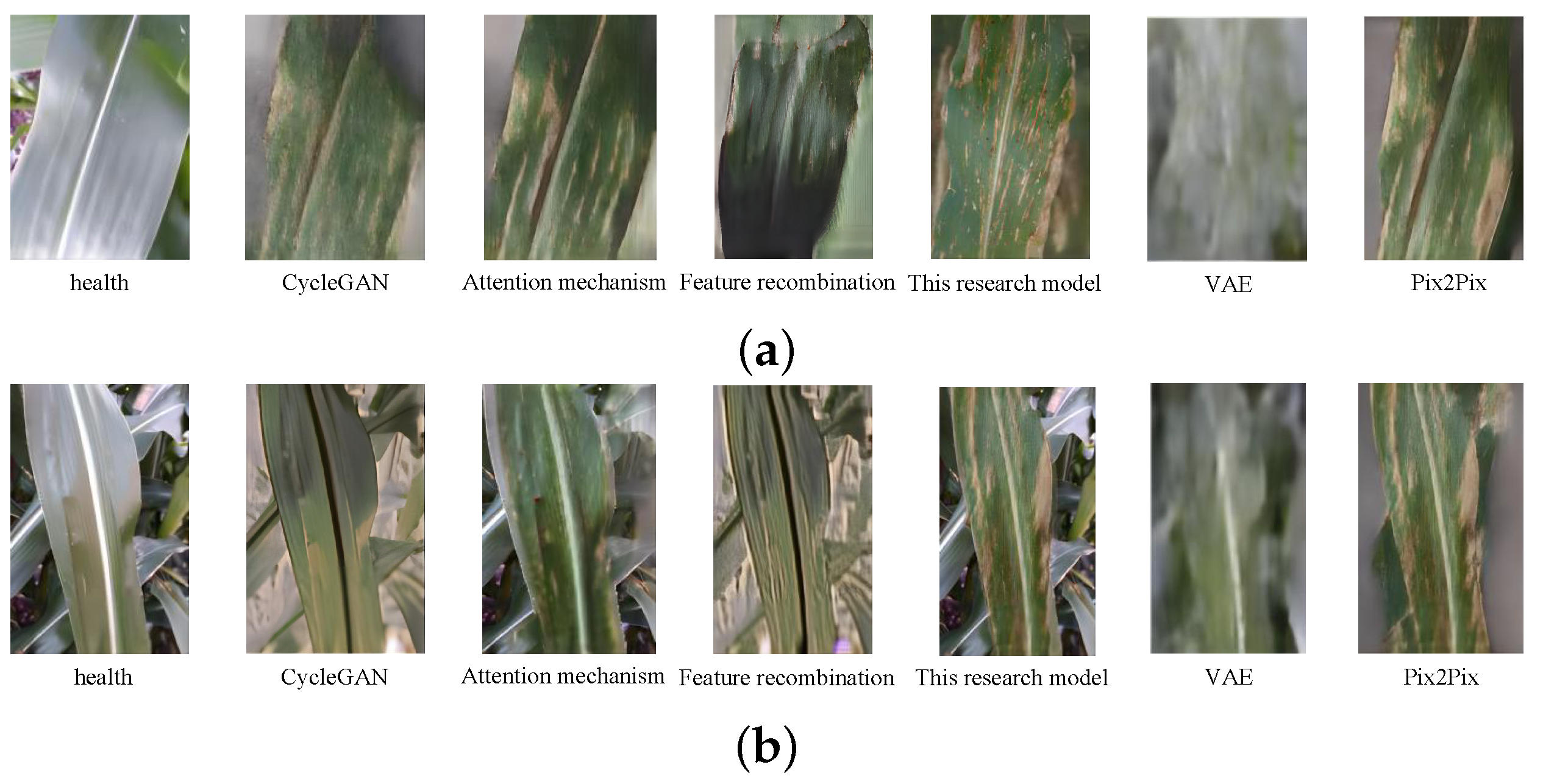 Sample Expansion and Classification Model of Maize Leaf Diseases Based ...