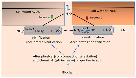 Biochar as an Environment-Friendly Alternative for Multiple Applications