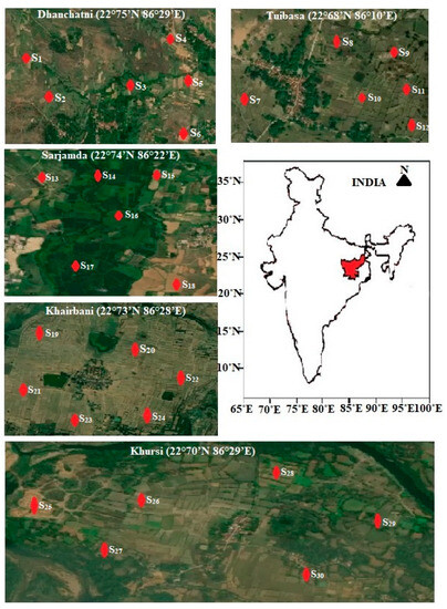 Accumulation and Toxicity of Polycyclic Aromatic Hydrocarbons in Long-Term Soil Irrigated with ...