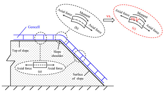 Effect of the Slit on the Mechanical Tearing Behavior of High-Density ...