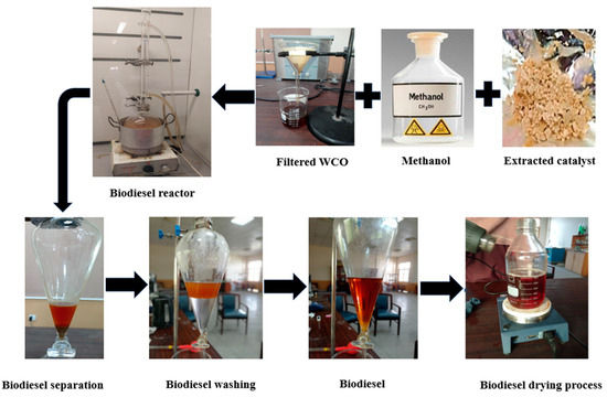 Biodiesel Production from Waste Cooking Oil Using Extracted Catalyst from Plantain Banana Stem ...