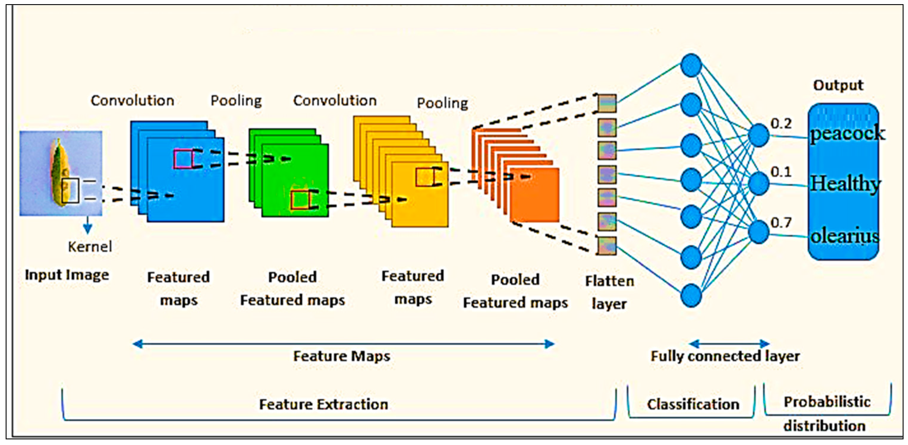 Dynamic Clustering Strategies Boosting Deep Learning in Olive Leaf Disease Diagnosis